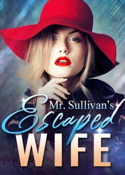 Read Mr. Sullivan’s Escaped Wife Novel PDF Online Step-by-Step – BTMBeta