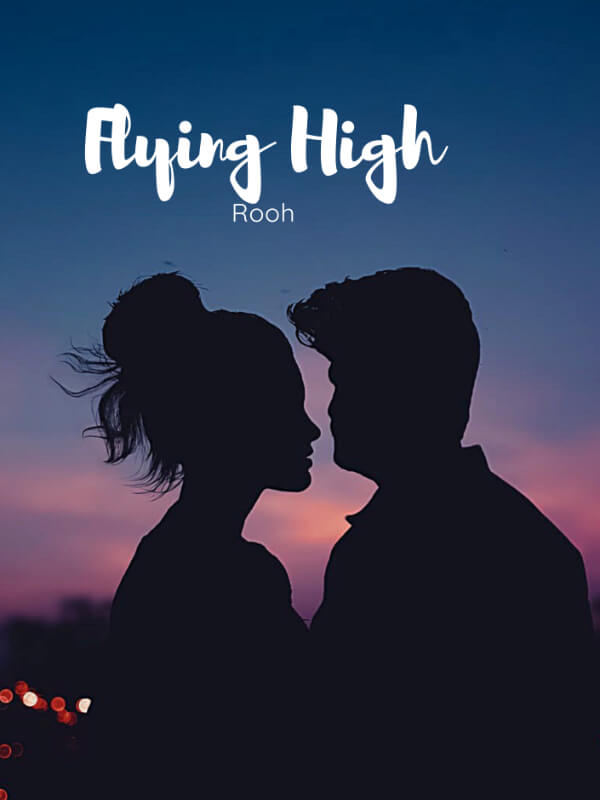 How to Read Flying High Novel Completed Step-by-Step – BTMBeta