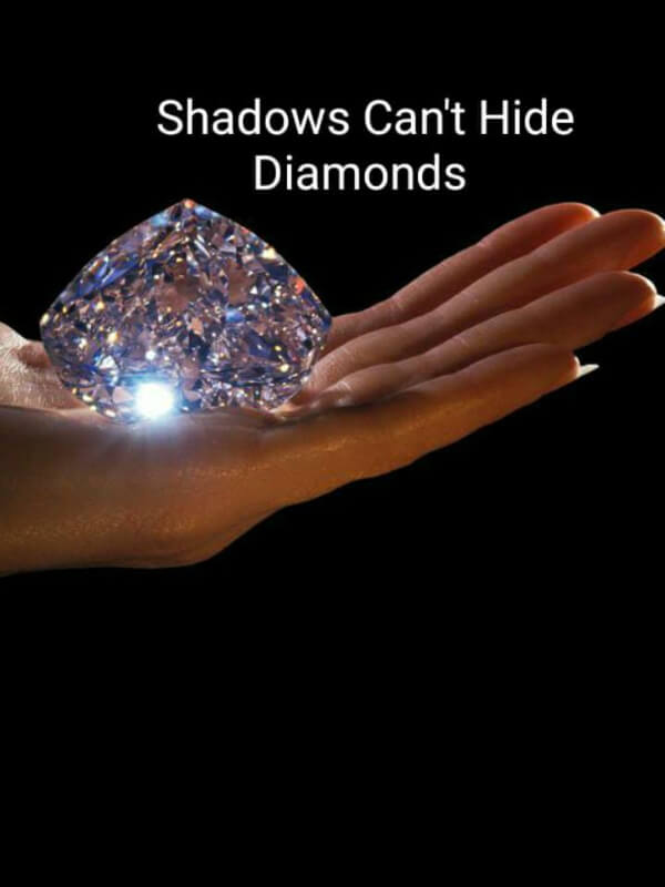 How to Read Shadows Can’t Hide Diamonds Novel Completed Step-by-Step ...