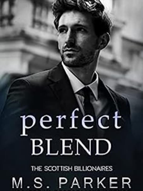 How to Read Perfect Blend Novel Completed Step-by-Step – BTMBeta