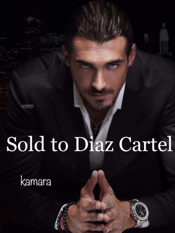 How to Read Sold To Diaz Cartel Novel Completed Step-by-Step – BTMBeta